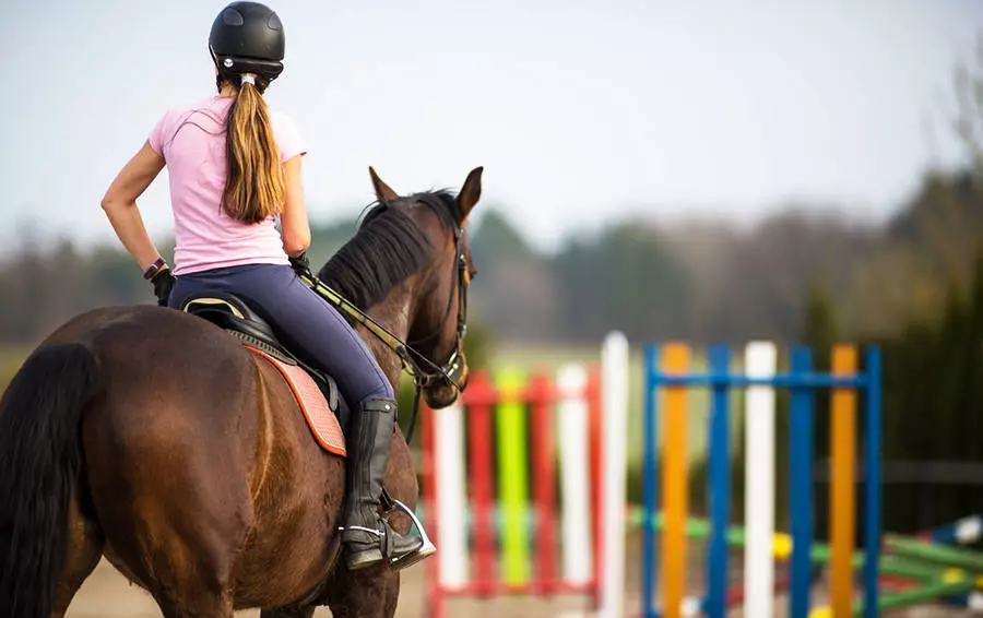 Beste paardensportcomplexen in Moskou