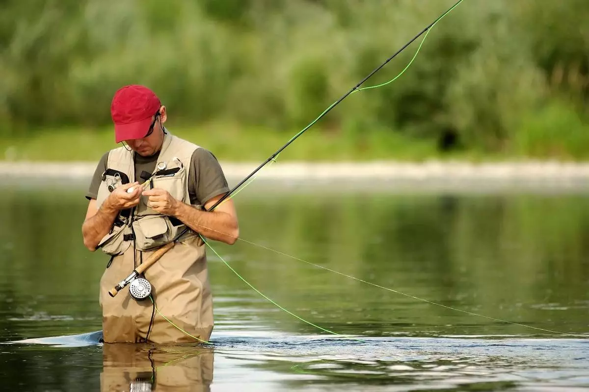 Foto - truques pesca que você deve conhecer cada amante