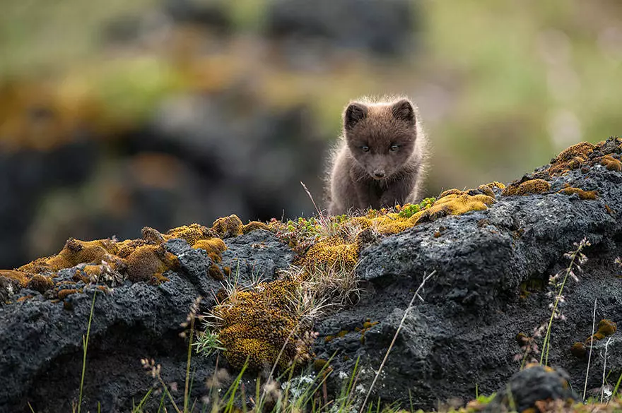 Images irréelles d'Islande