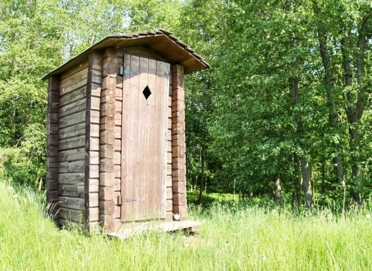 Zdjęcie - toaleta w kraju, z własnymi rękami, jaką poradę powinno się trzymać