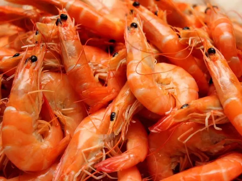 Comment faire cuire des crevettes