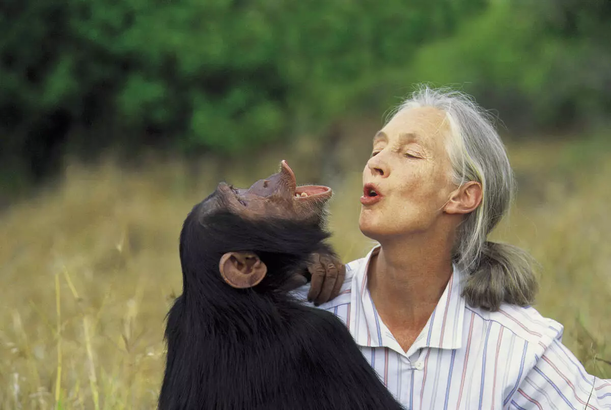 Como dizem animais de estimação