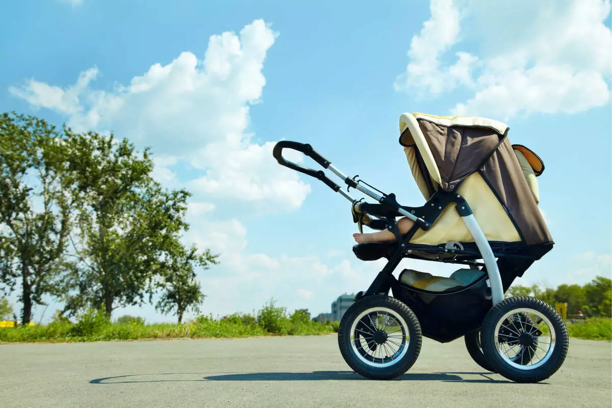 Die beste stroller vir reis: Hoe om te kies en wat om voorkeur te gee?