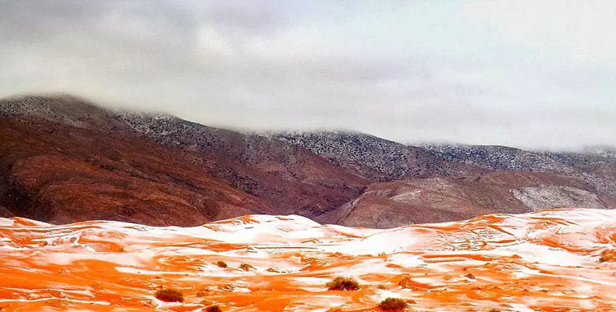 La nieve de Sakhara cayó en el desierto por primera vez en 37 años.