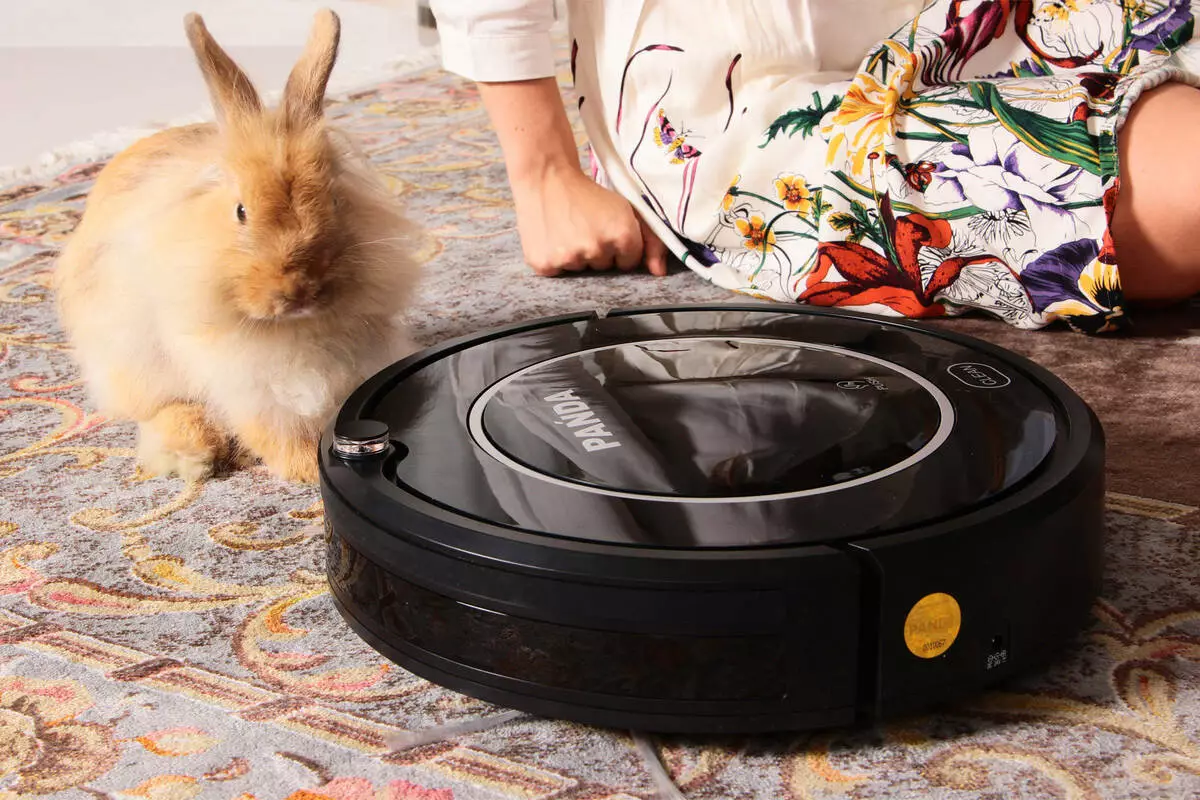 Robot vacuum cleaner