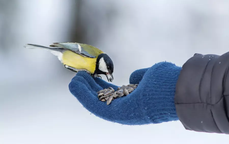 Miten aloittaa onnellinen elämä