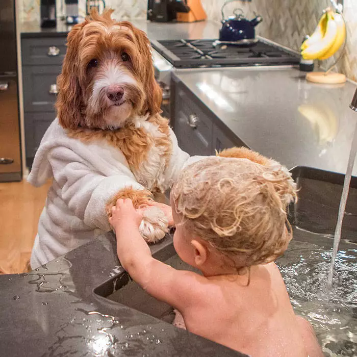 Foto - Labrador und Baby, so sieht eine starke Freundschaft aus