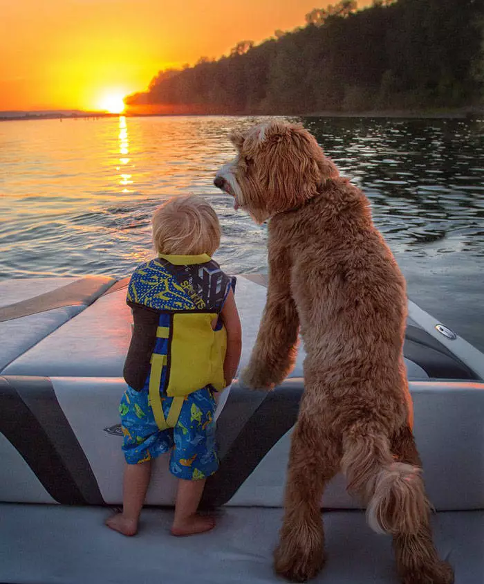 Фото 4 - лабрадор і малюк так виглядає міцна дружба