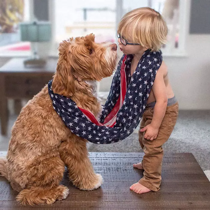 Foto 9 - Labrador och barnet ser ut som en stark vänskap