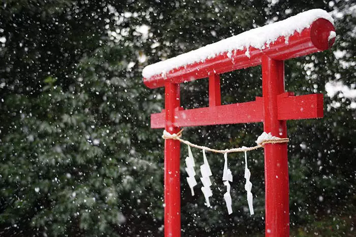 Tokio-parë-Snow-Nëntor-2016-36-58381206cce19__700