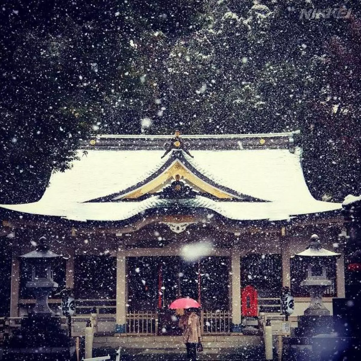 Tokyo-First-Snow-november-2016-6-5837FDF3BFA11__700