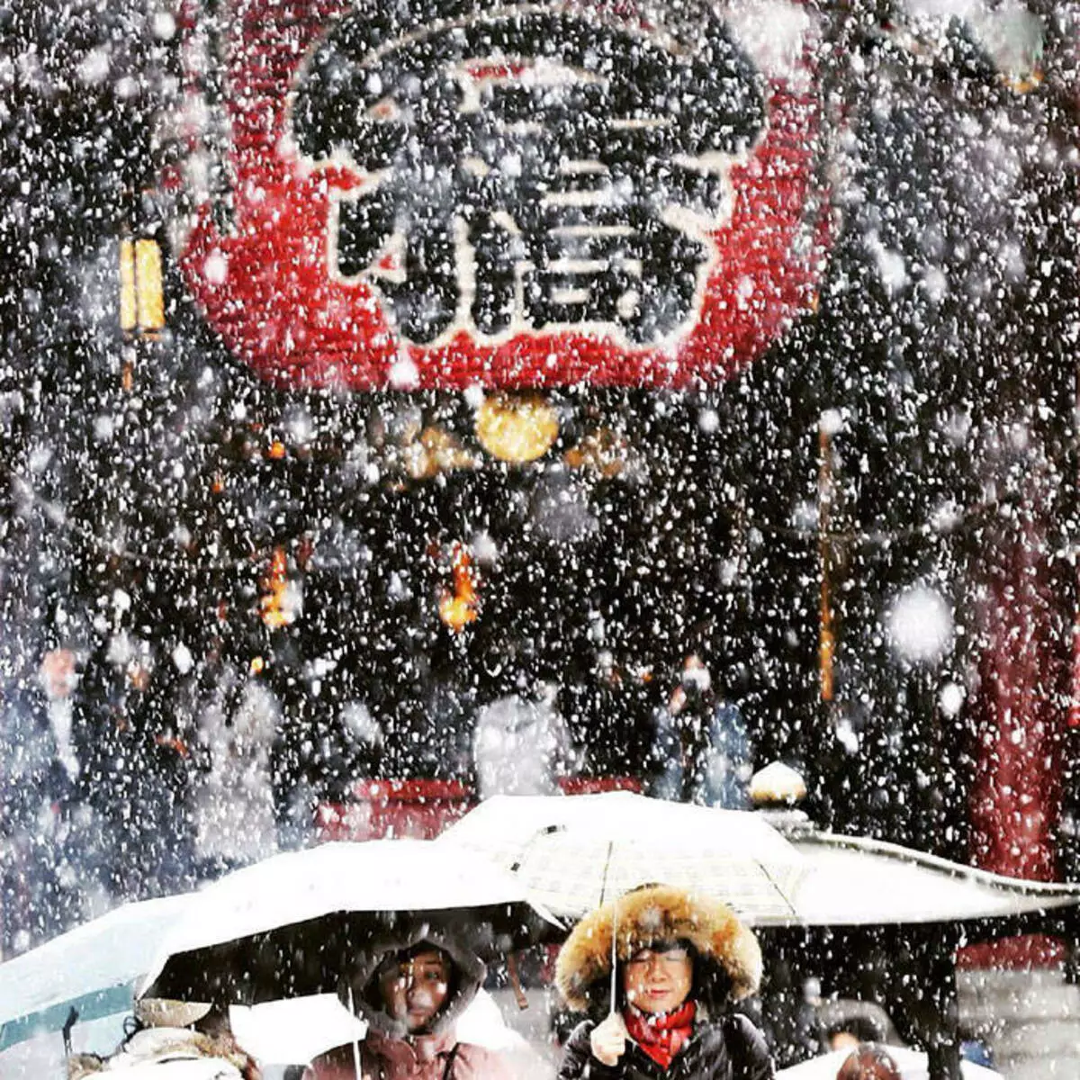 Tokyo-First-Snow-November-2016-8-5838002BCDAD4__700