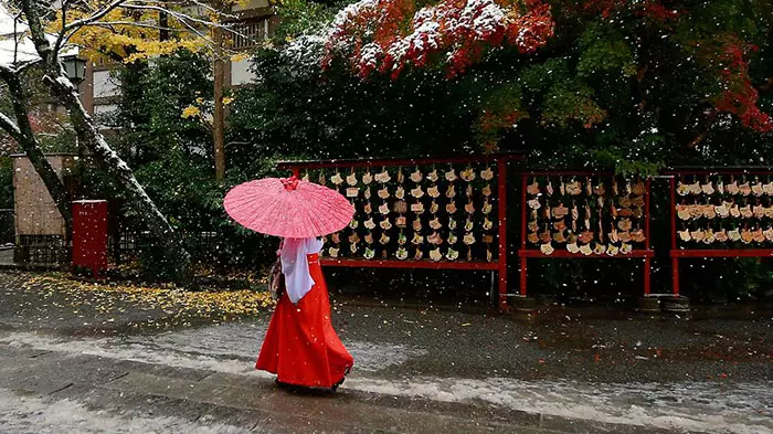 Tokio-parë-Snow-Nëntor-Nëntor-2016-19-5838068D0Ded0__700