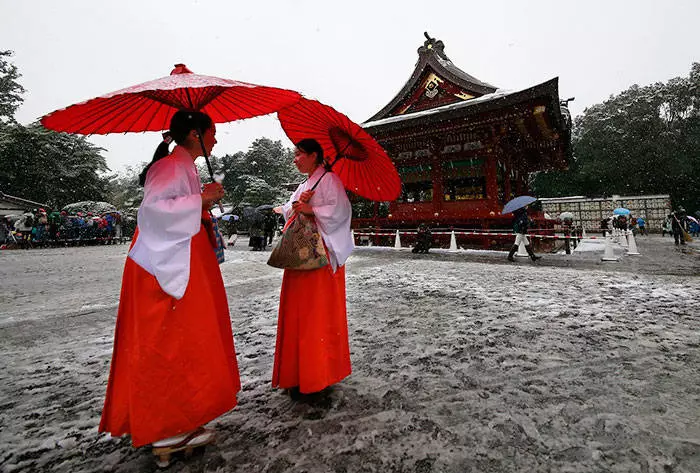 Tokyo-First Snow-November-2016-26-583809B8A025C__700