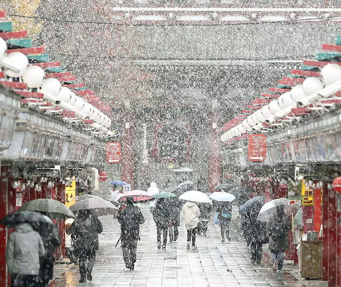 Tokyo-First-Snow-november-2016-27-58380A05750B7__700