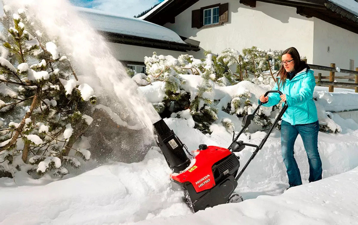 Cómo elegir un soplador de nieve