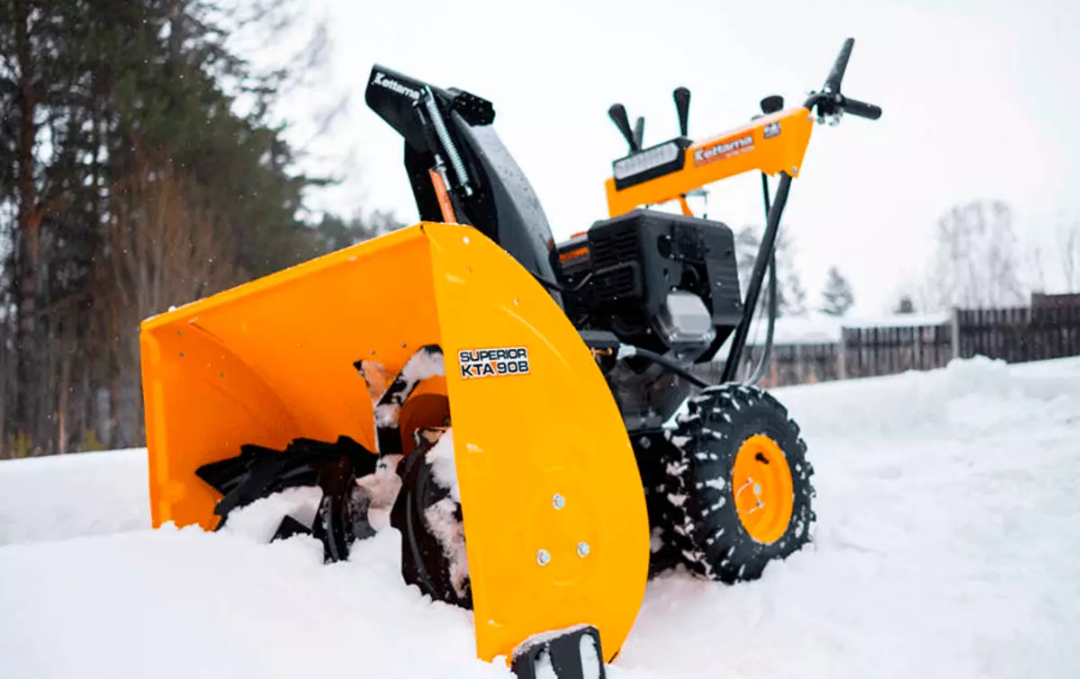 Cómo elegir un soplador de nieve