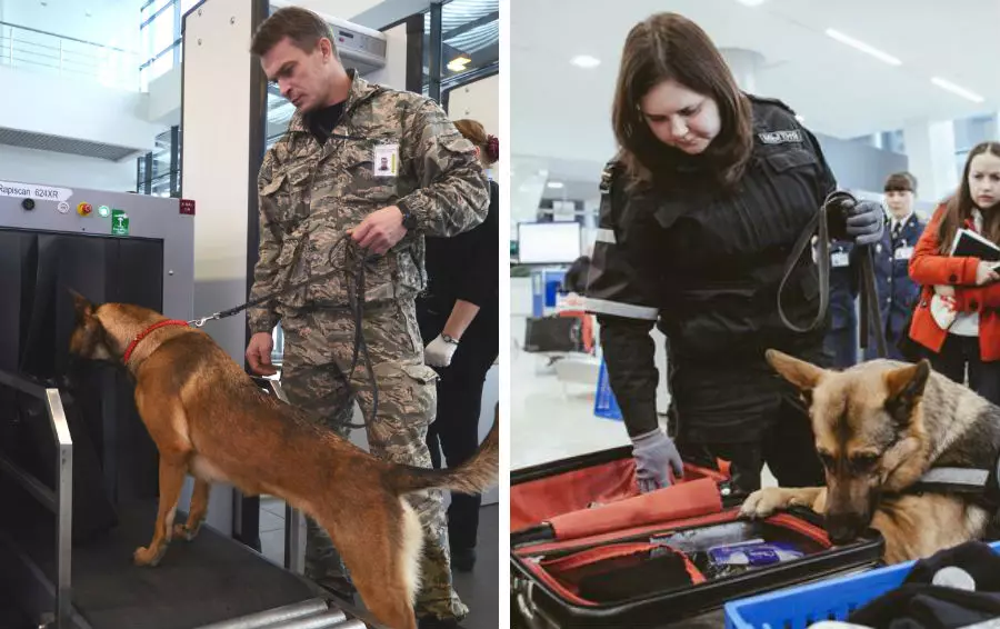 9 confirmaciones que el personal del aeropuerto sabe demasiado