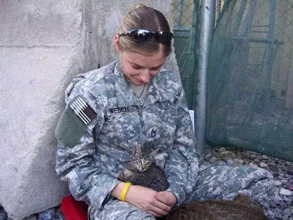 Vojnik Afganistan pronašao je mačku koja joj je pomogla da preživi rat