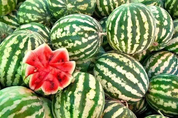 How to save watermelon to the new year at home? 812_4