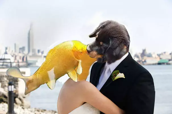 Ảnh 4 - Puppy Kissing Fish nổi tiếng với toàn bộ internet