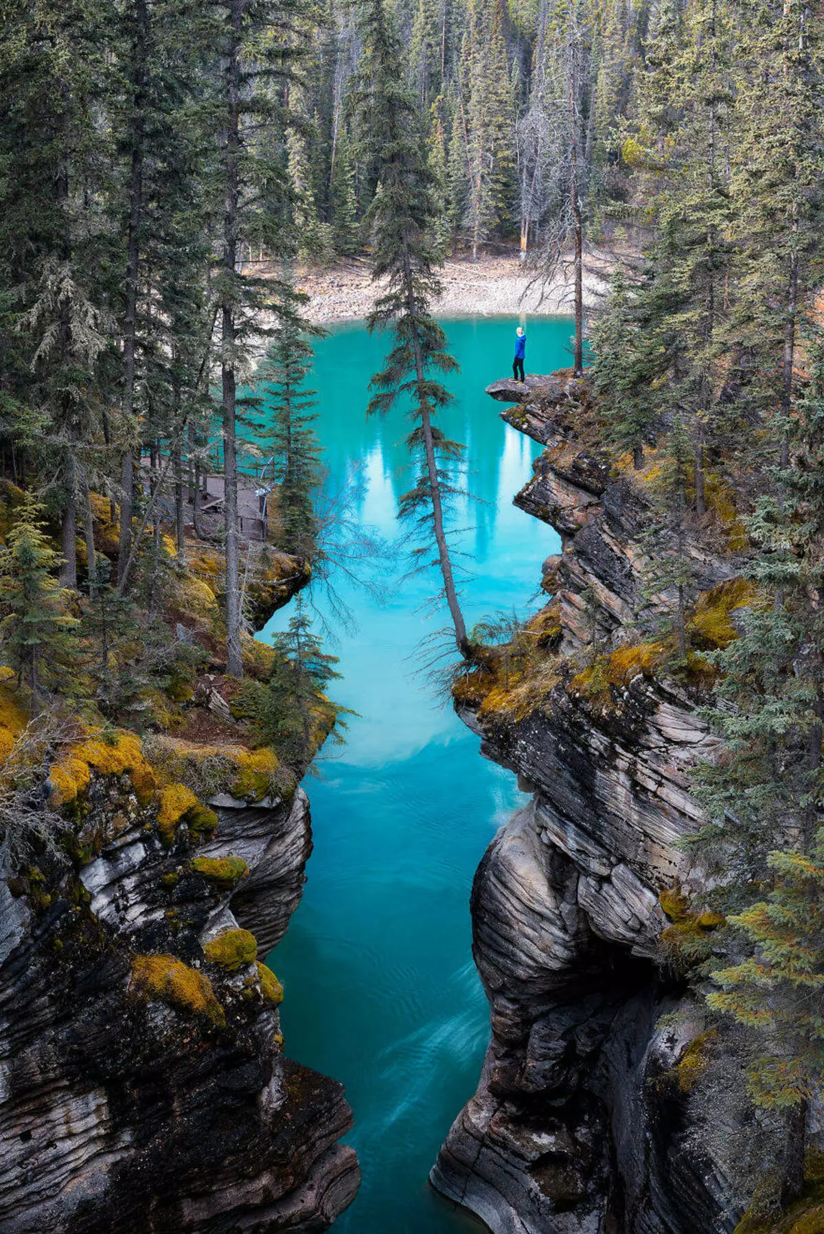 Cliff-Atthabasca-Falls-1-de-1-5863D1d4ee320__880