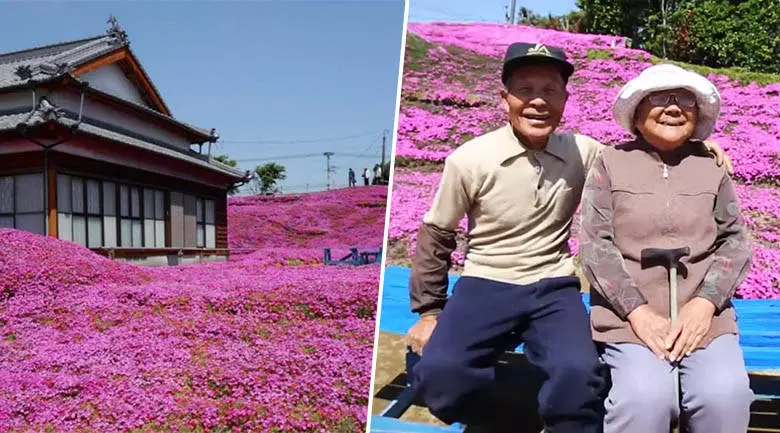 Flower carpet